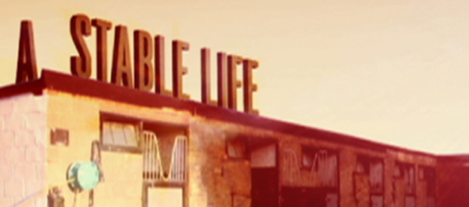 A Stable Life